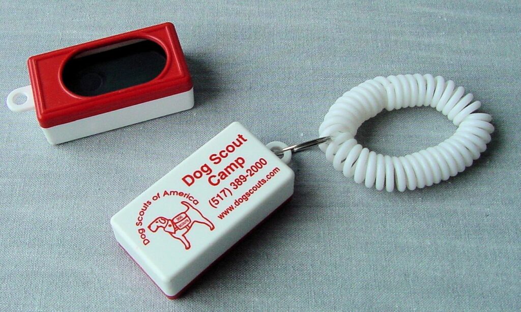 Box Clicker w/ Logo – Sparky's Boutique and Outfitters