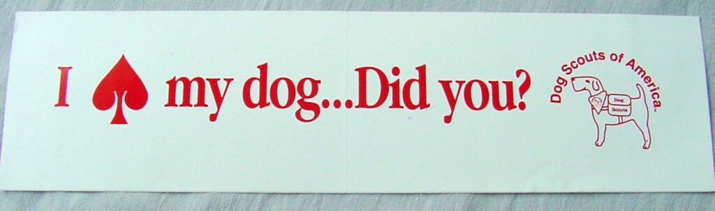 DSA Bumper Sticker w/ Logo – Sparky's Boutique and Outfitters